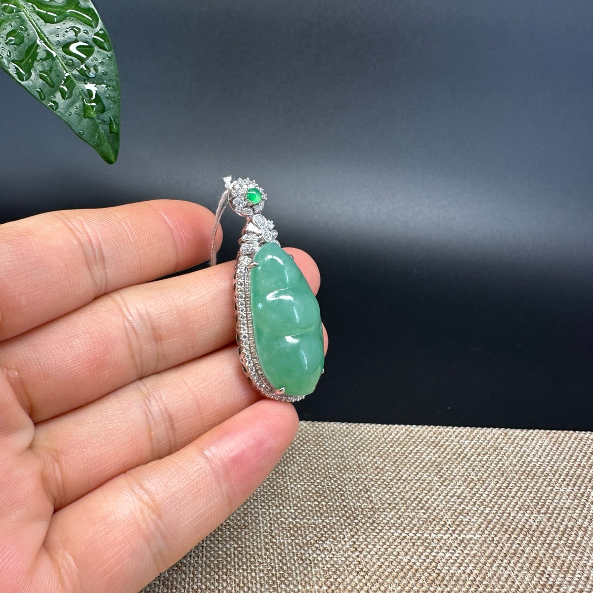 RealJade® Co. Genuine Burmese Green Jadeite Jade Fu Dou Pendant with 1